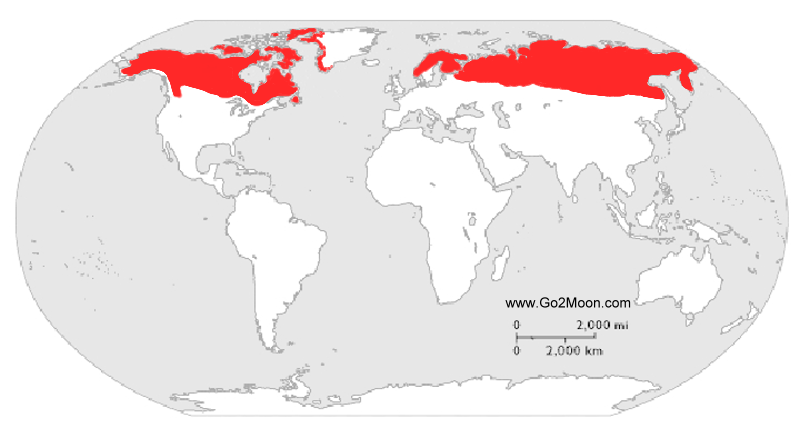Caribou Location Map