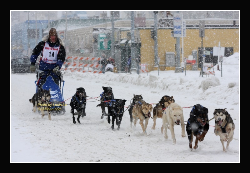 2009 Fur Rondy Sled Dog Race