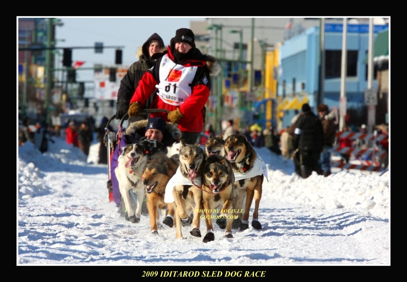 Jen Seavey 2009 Iditarod