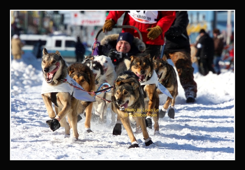 Jen Seavey's Dog Team