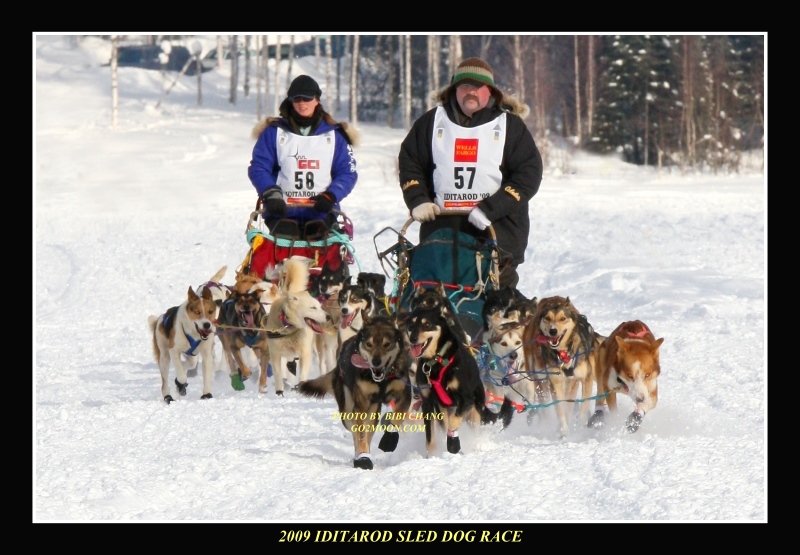 Rachael Scdoris 2009 Iditarod
