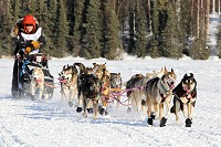 Iditarod 2011