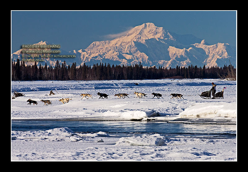 Martin Buser Iditarod
