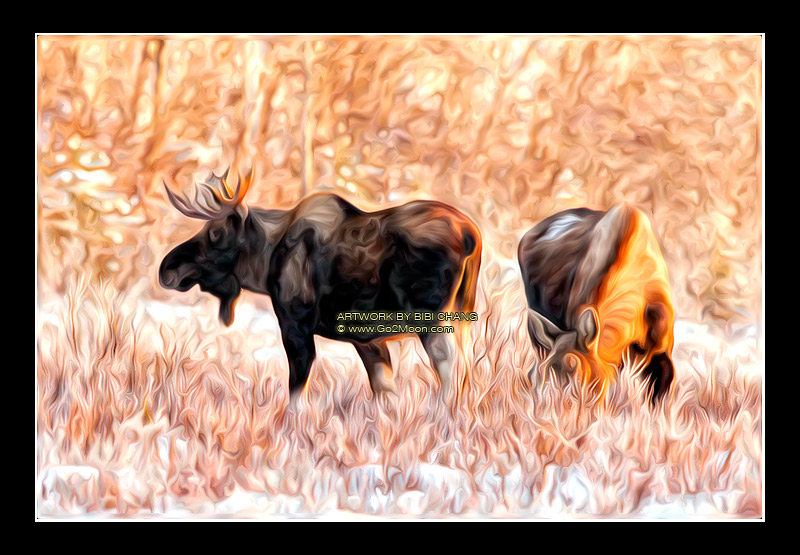 Moose Oil Painting