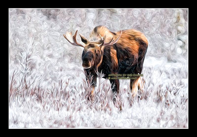 Moose Oil Painting