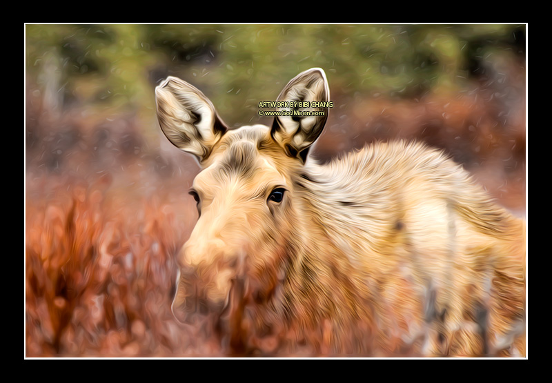 Moose Oil Painting