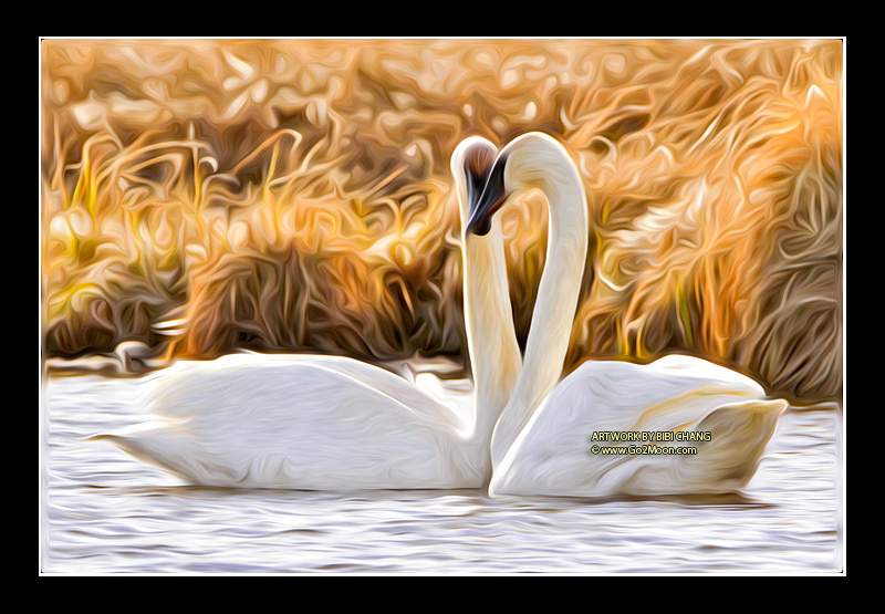 Swan Oil Painting
