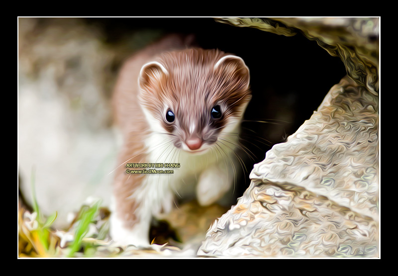Weasel Oil Painting